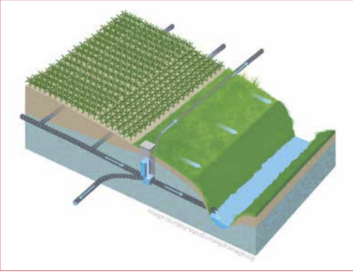 Saturated Riparian Buffers: Who Says You Can’t Teach an Old Buffer New ...