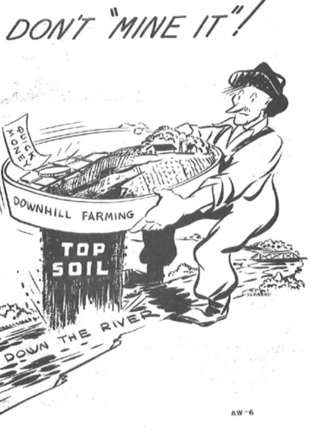 Art and Conservation: The Interdisciplinary Vision of Felix Summers ...